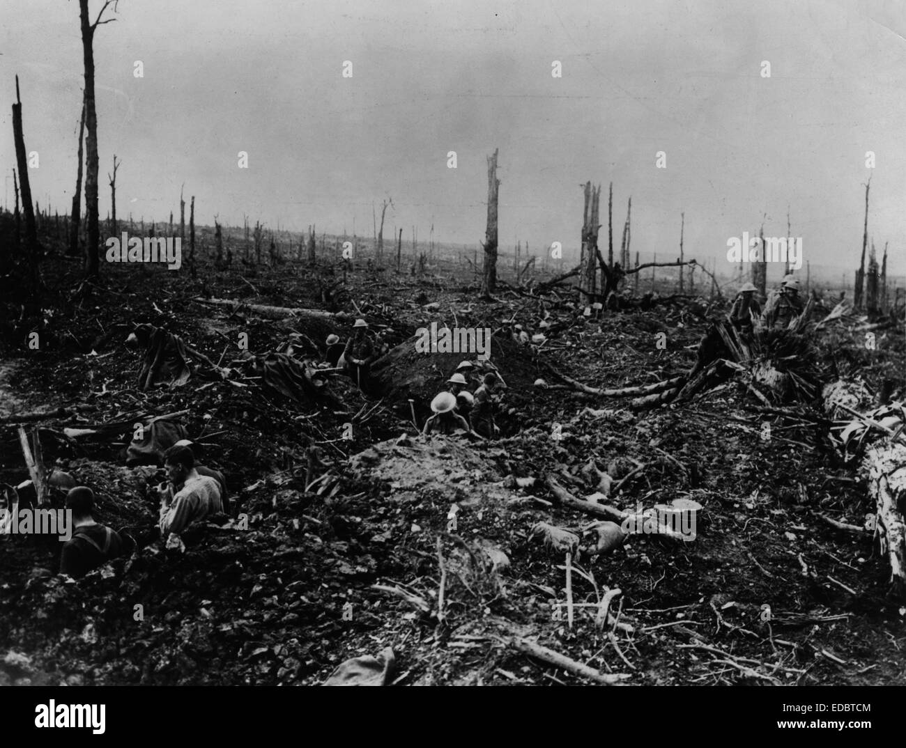 Trench digging hi-res stock photography and images - Alamy