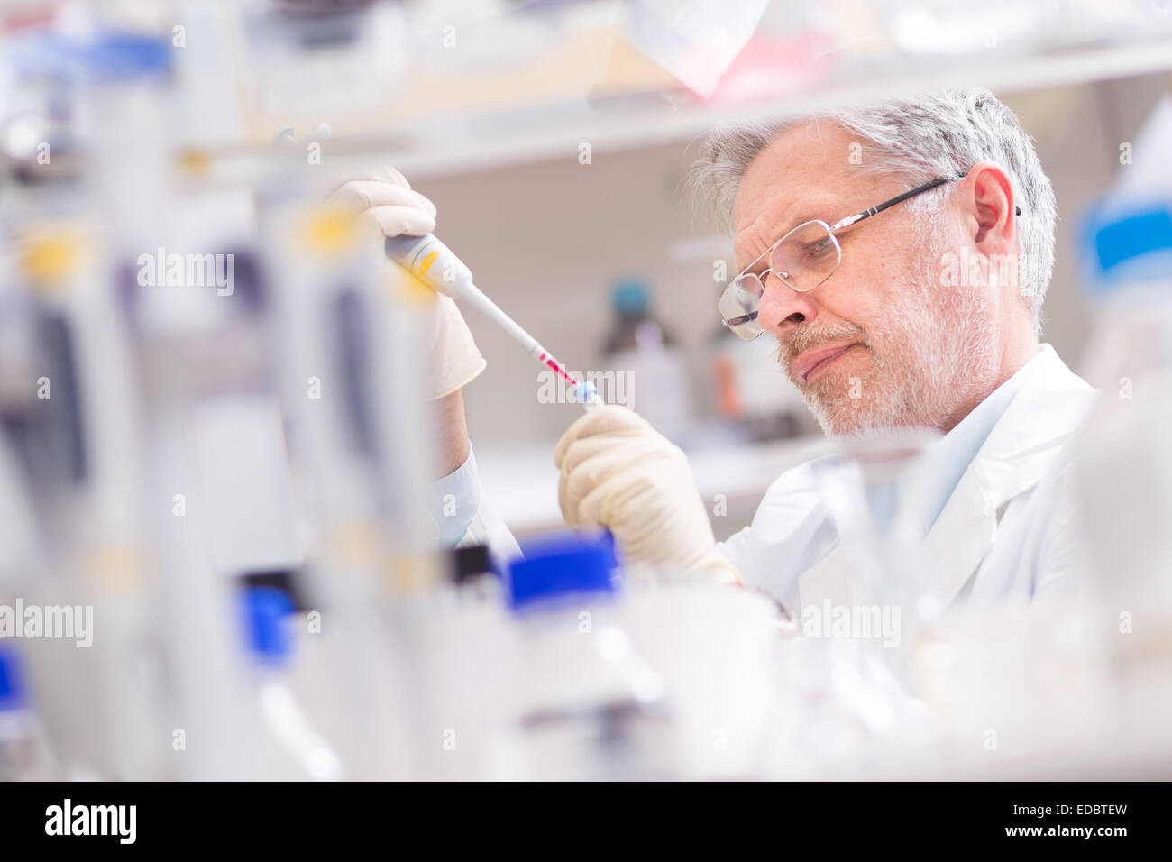 Life scientist researching in the laboratory Stock Photo - Alamy
