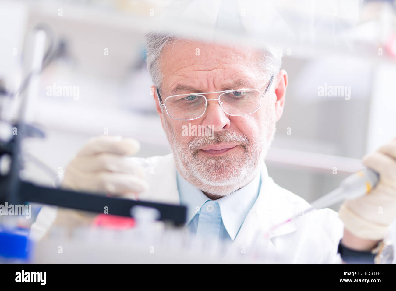 Life scientist researching in the laboratory Stock Photo - Alamy