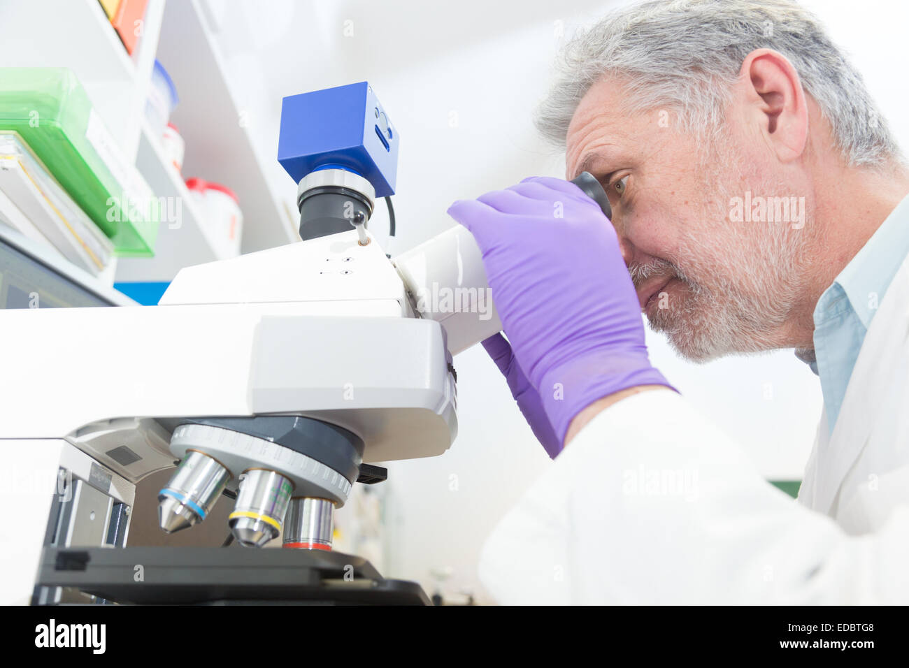 Senior scientist microscoping in lab Stock Photo - Alamy