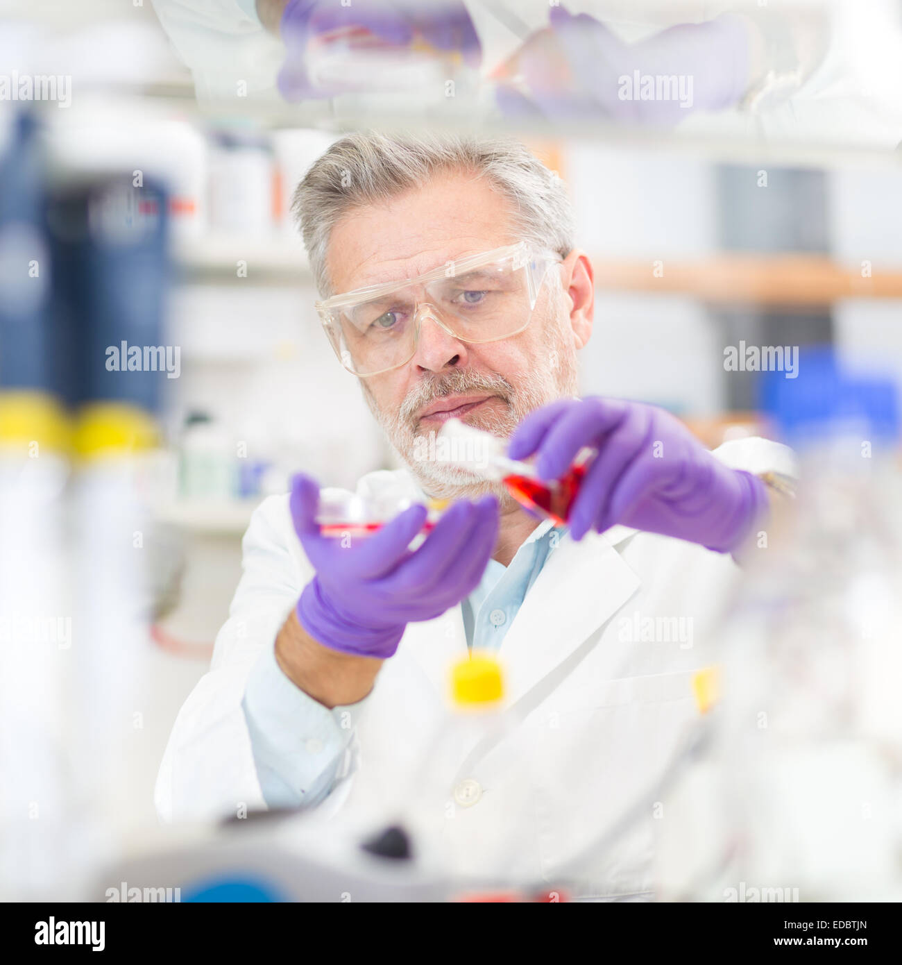 Life scientist researching in the laboratory Stock Photo - Alamy