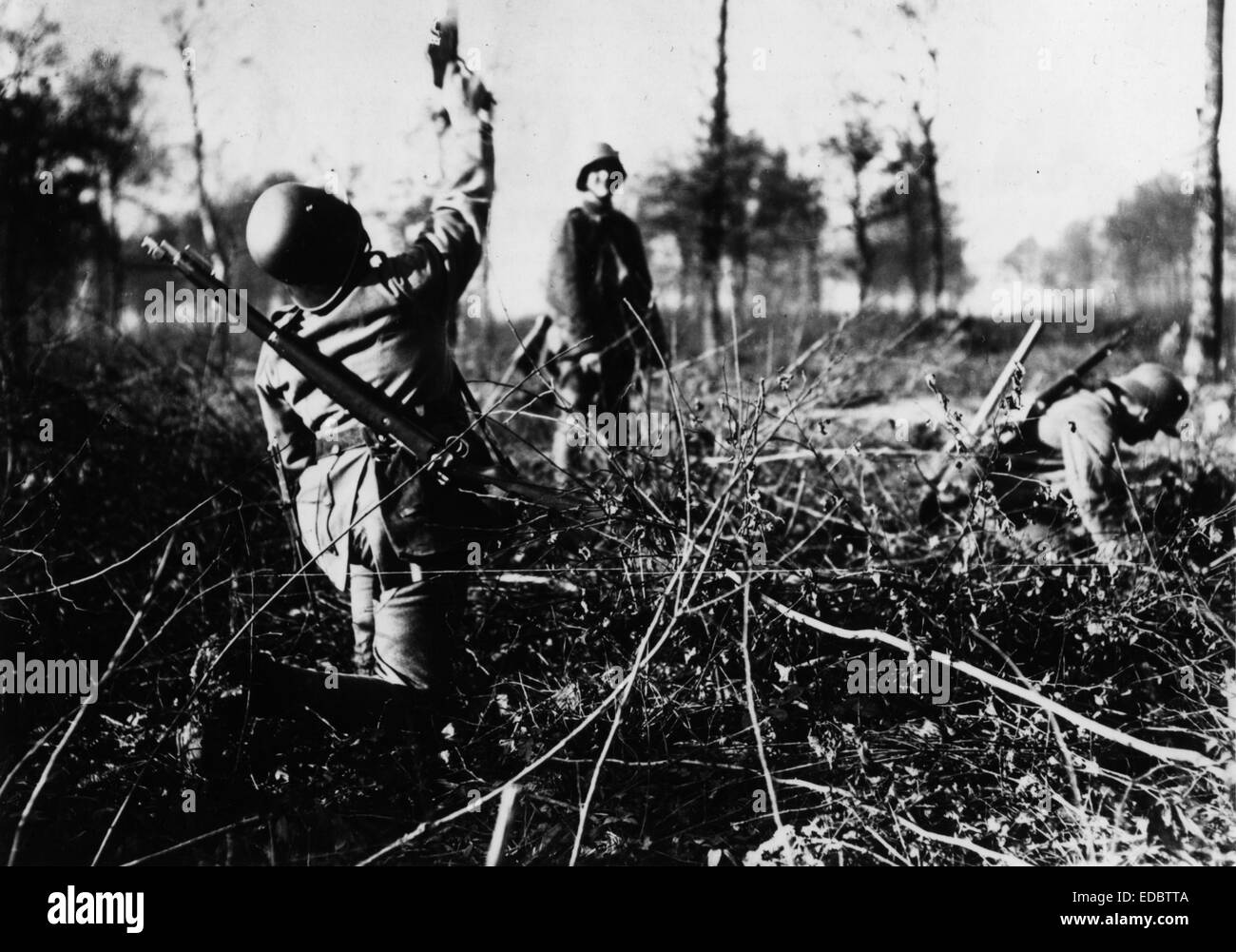 Western Front, Germany - France, 1916 Stock Photo - Alamy