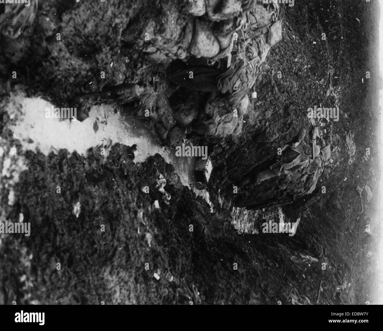 Battle of the somme trench hi-res stock photography and images - Alamy