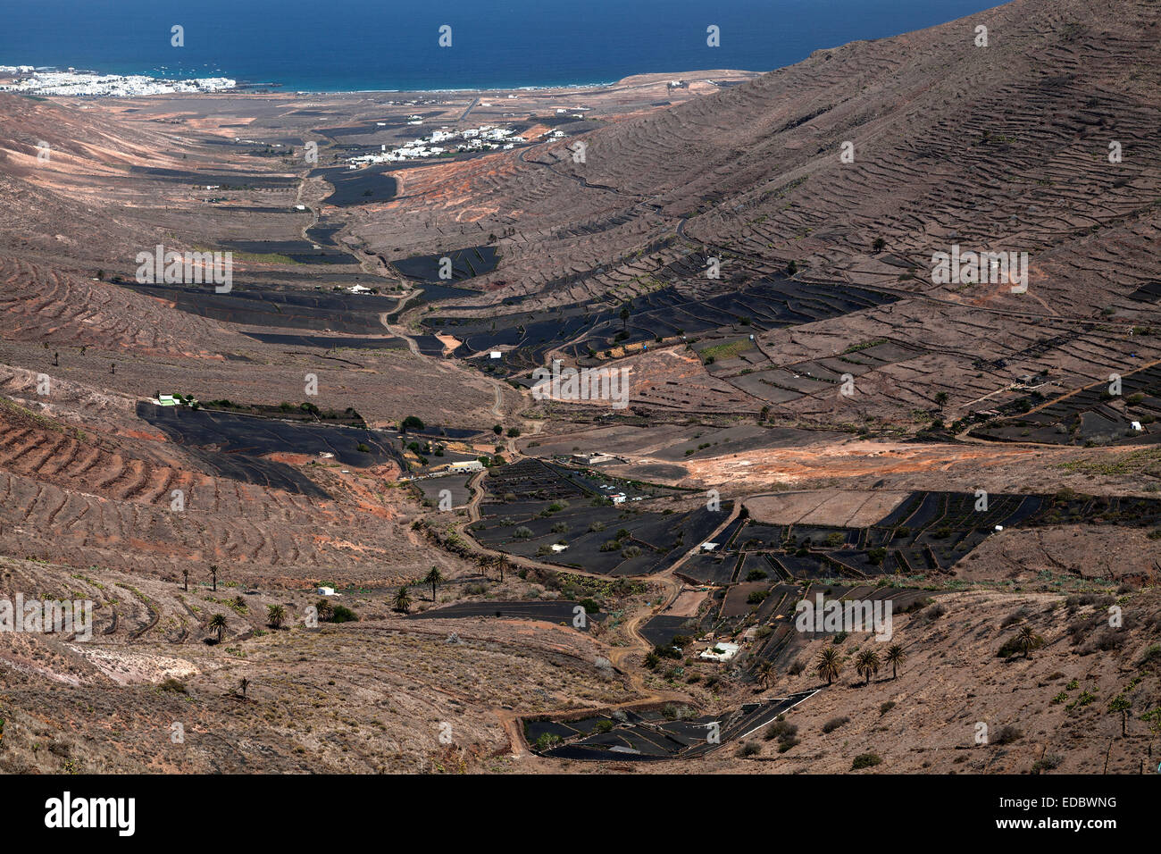View from the Mirador de Haria into the Valle de Temisa, terraced ...