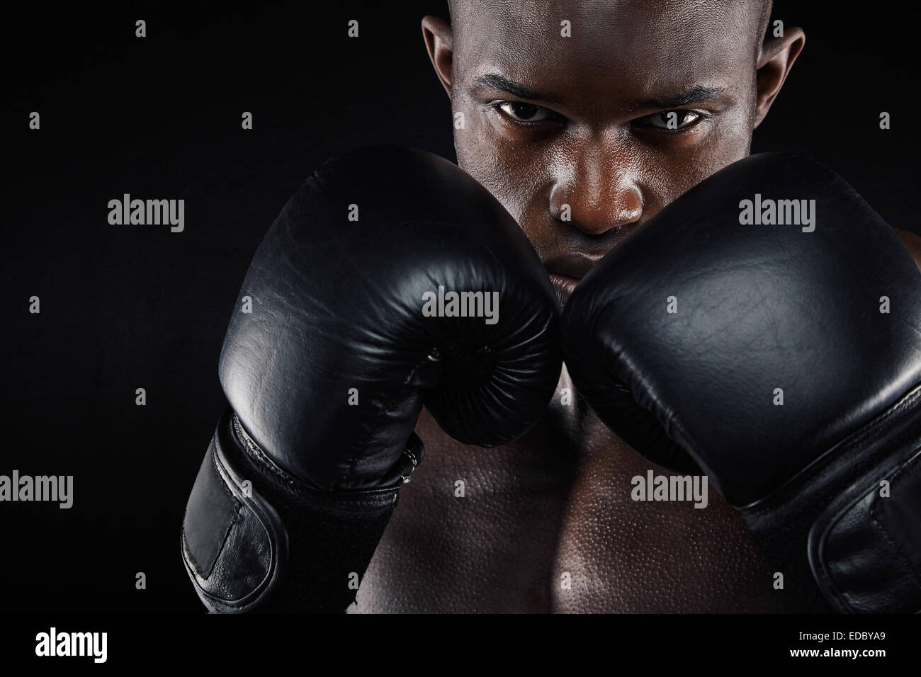 Portrait of a young male boxer in a fighting stance on black background ...