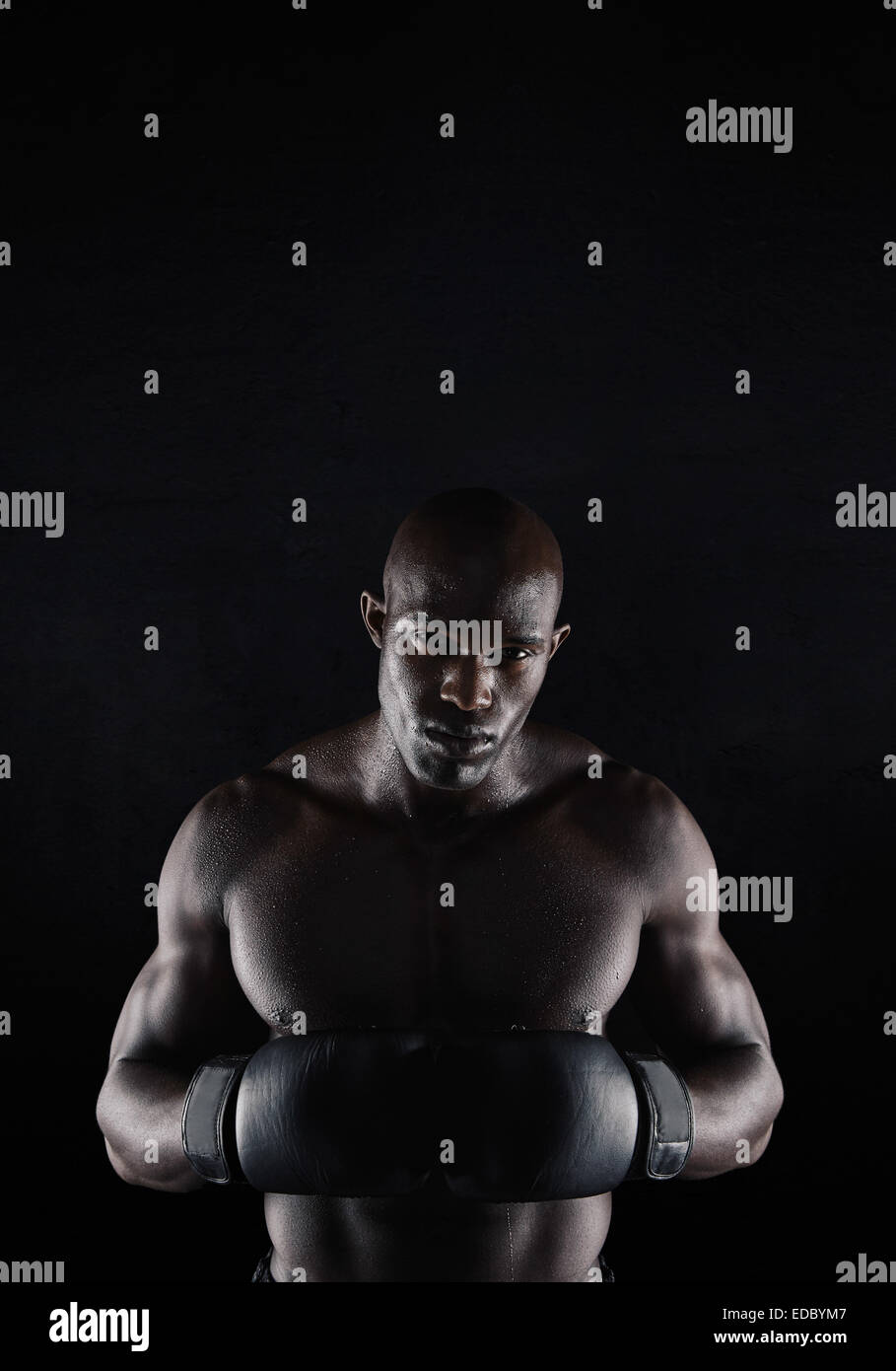 Portrait of professional male boxer against black background. Strong ...