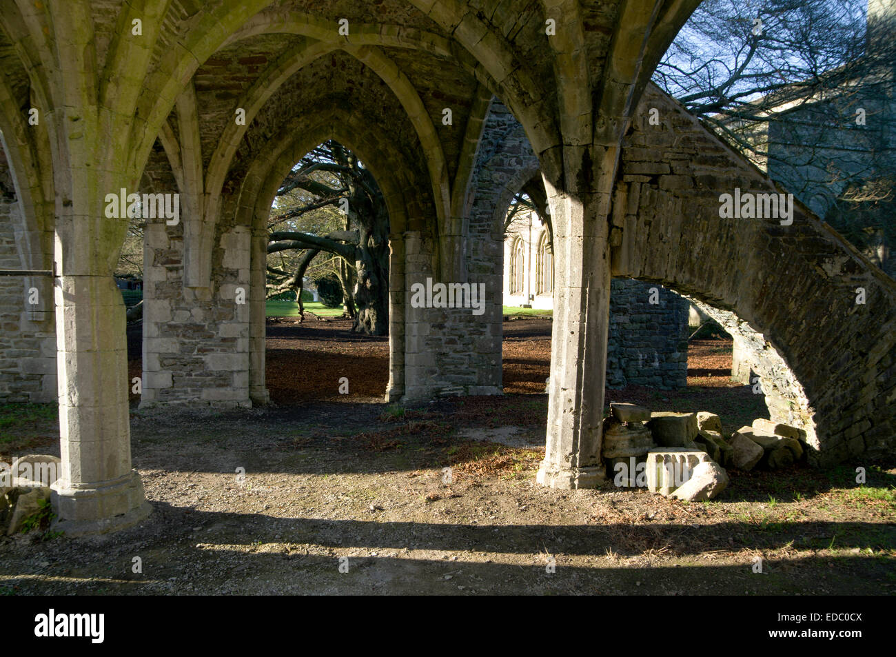Cistercian Chapter House, Margam Manor Country Park, Port Talbot, Wales ...