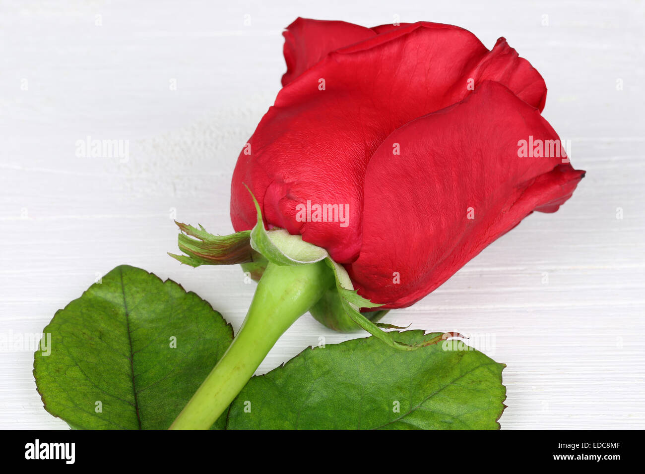 Red rose flower on wooden hi-res stock photography and images - Alamy