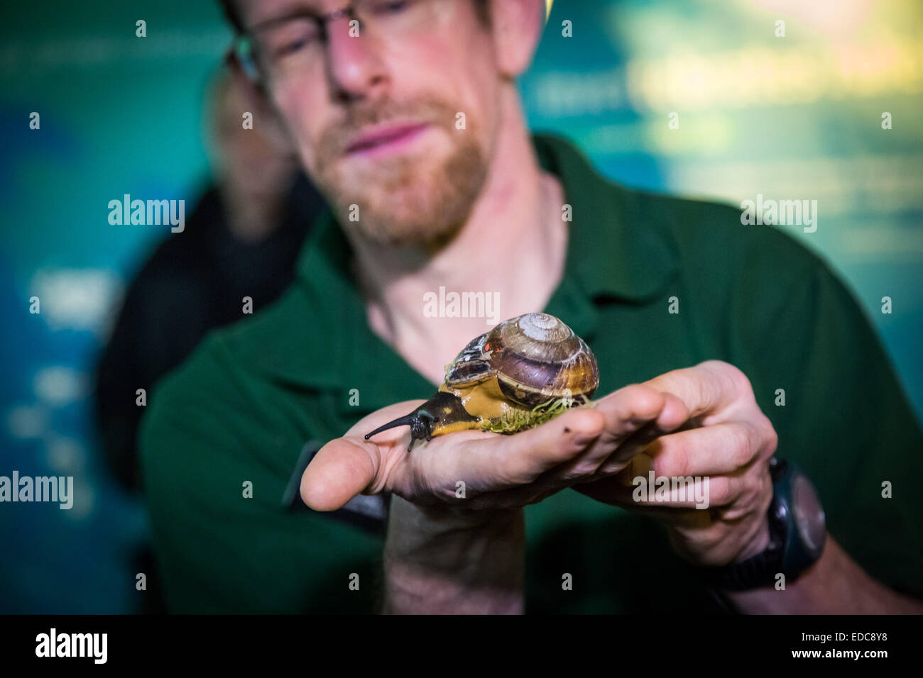 Vietnamese zoo animals hi-res stock photography and images - Alamy