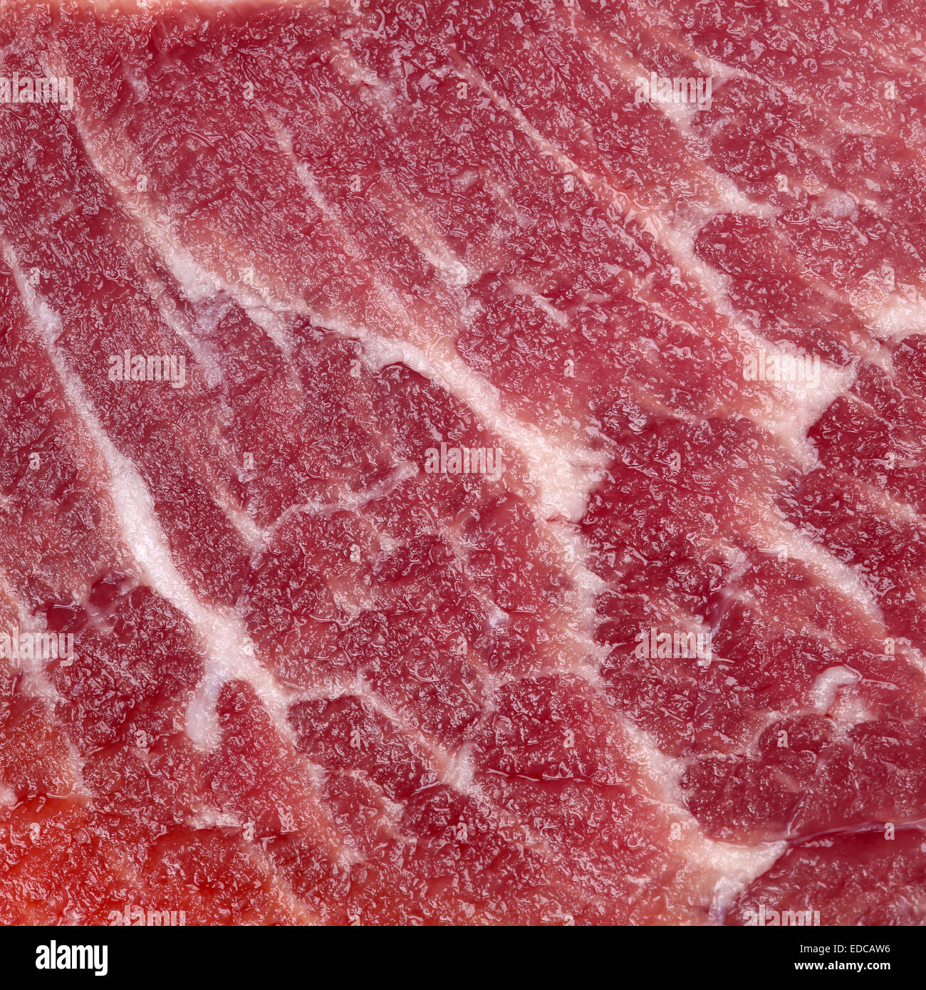 Beef Texture