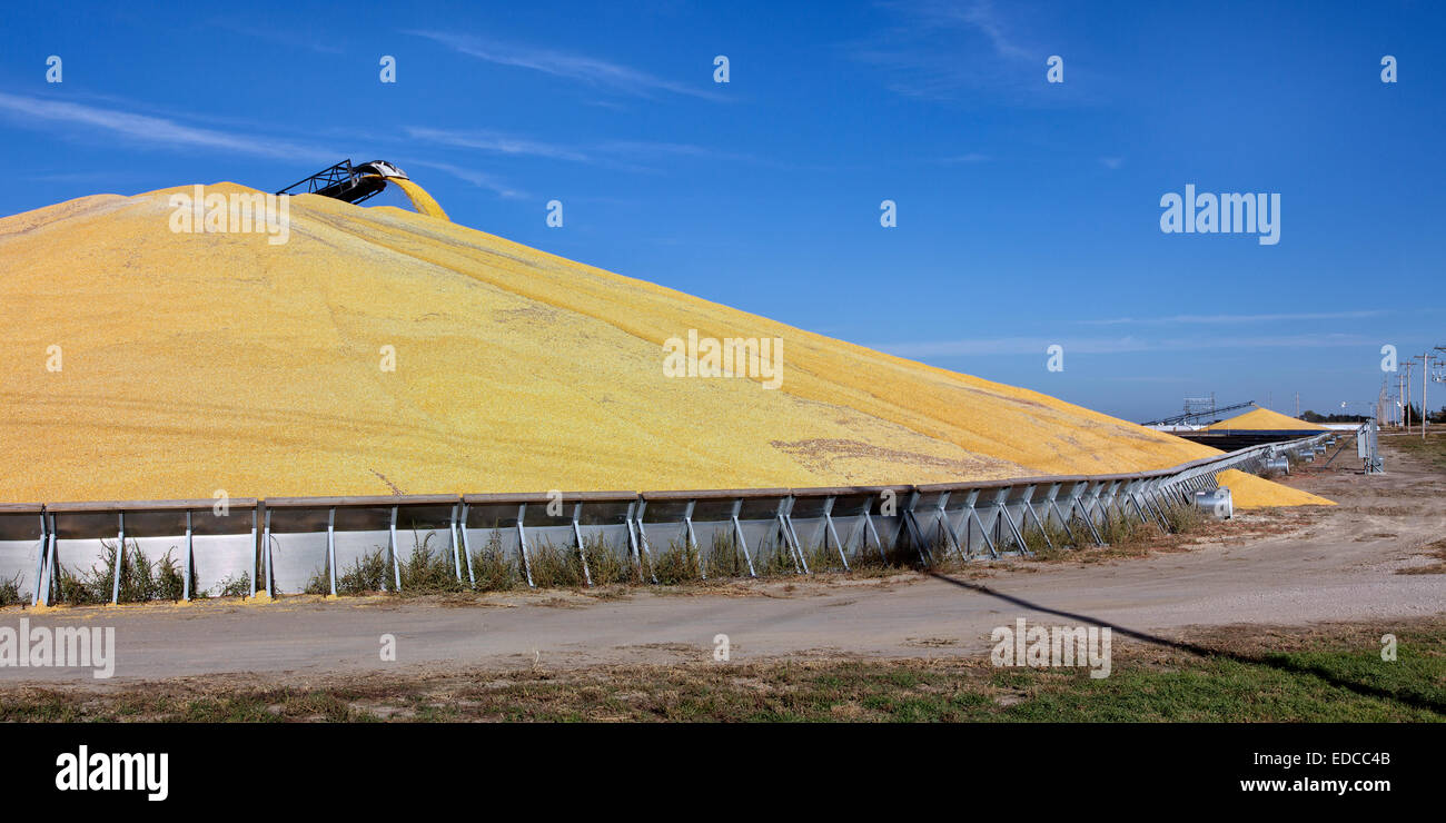 Storage Of Maize High Resolution Stock Photography and Images - Alamy