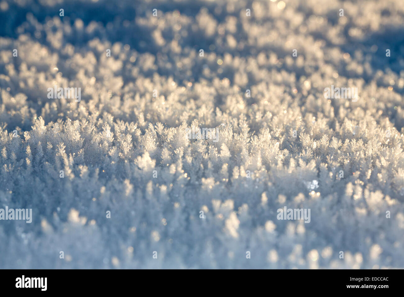 A macro photograph of a patch of snow in the morning sunlight Stock ...