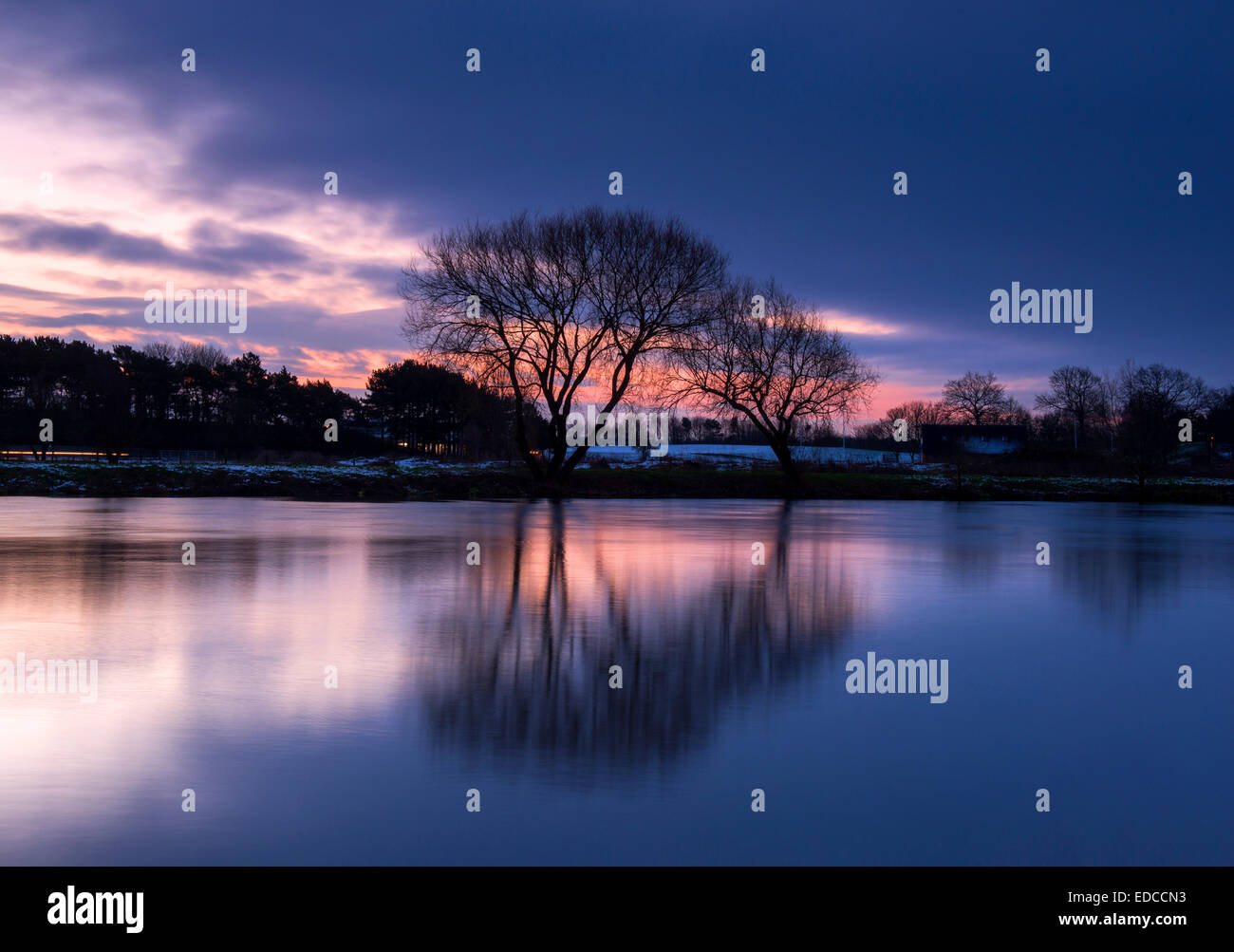 Trees at sunrise reflected in the River Trent, Colwick Park Nottingham ...