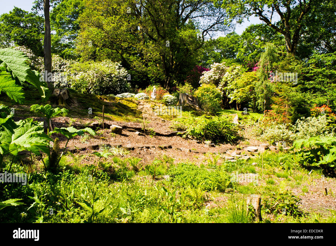 Ramster garden hi-res stock photography and images - Alamy