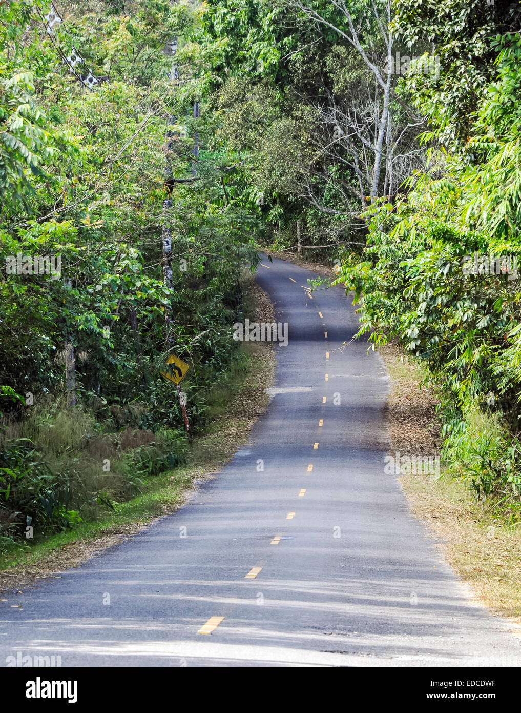 Down slope of road hi-res stock photography and images - Alamy