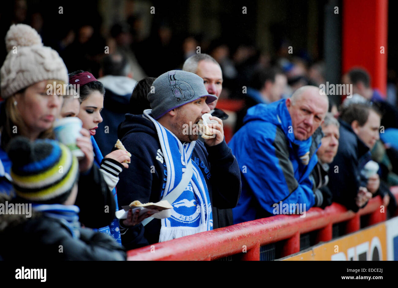 Brighton football fan eating fast food burger at a match in a crowd ...