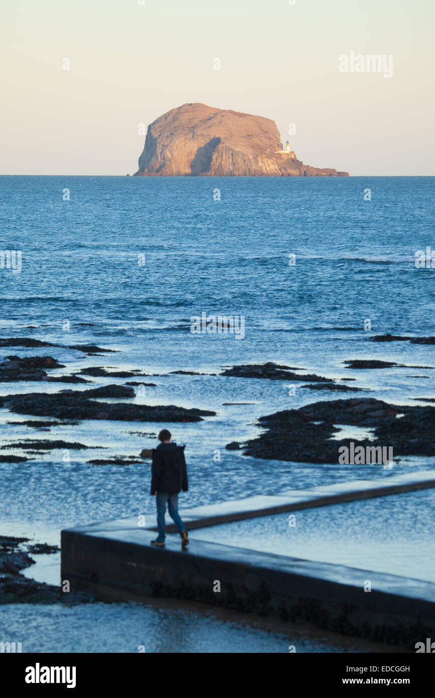 British rock pool hi-res stock photography and images - Alamy