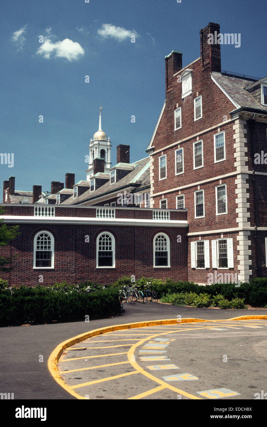 Harvard University Campus, Cambridge, MA Stock Photo - Alamy Harvard University Campus, Cambridge, MA Stock Photo - Alamy
