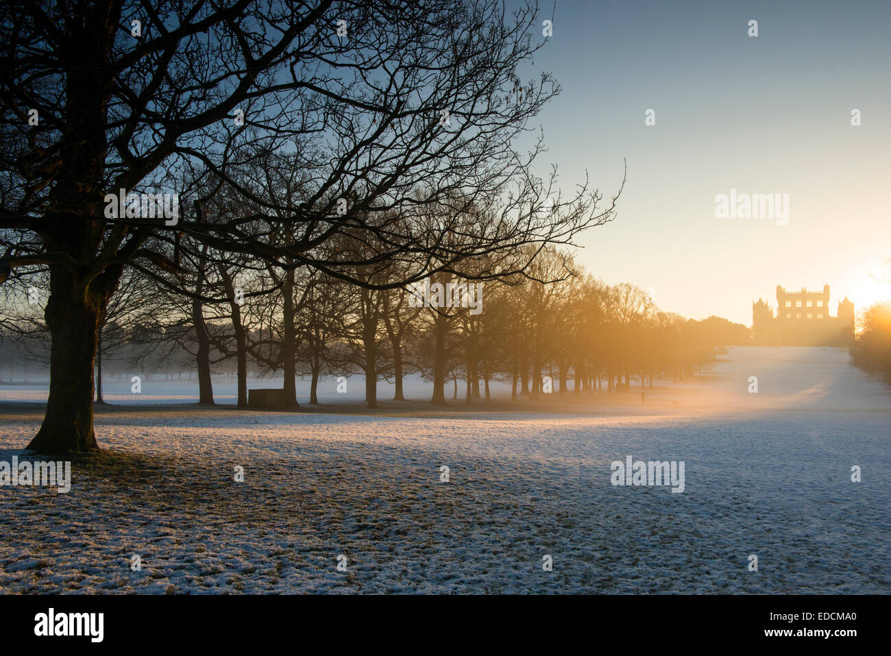 A winter morning in the snow at Wollaton Hall and Deer Park, Nottingham ...