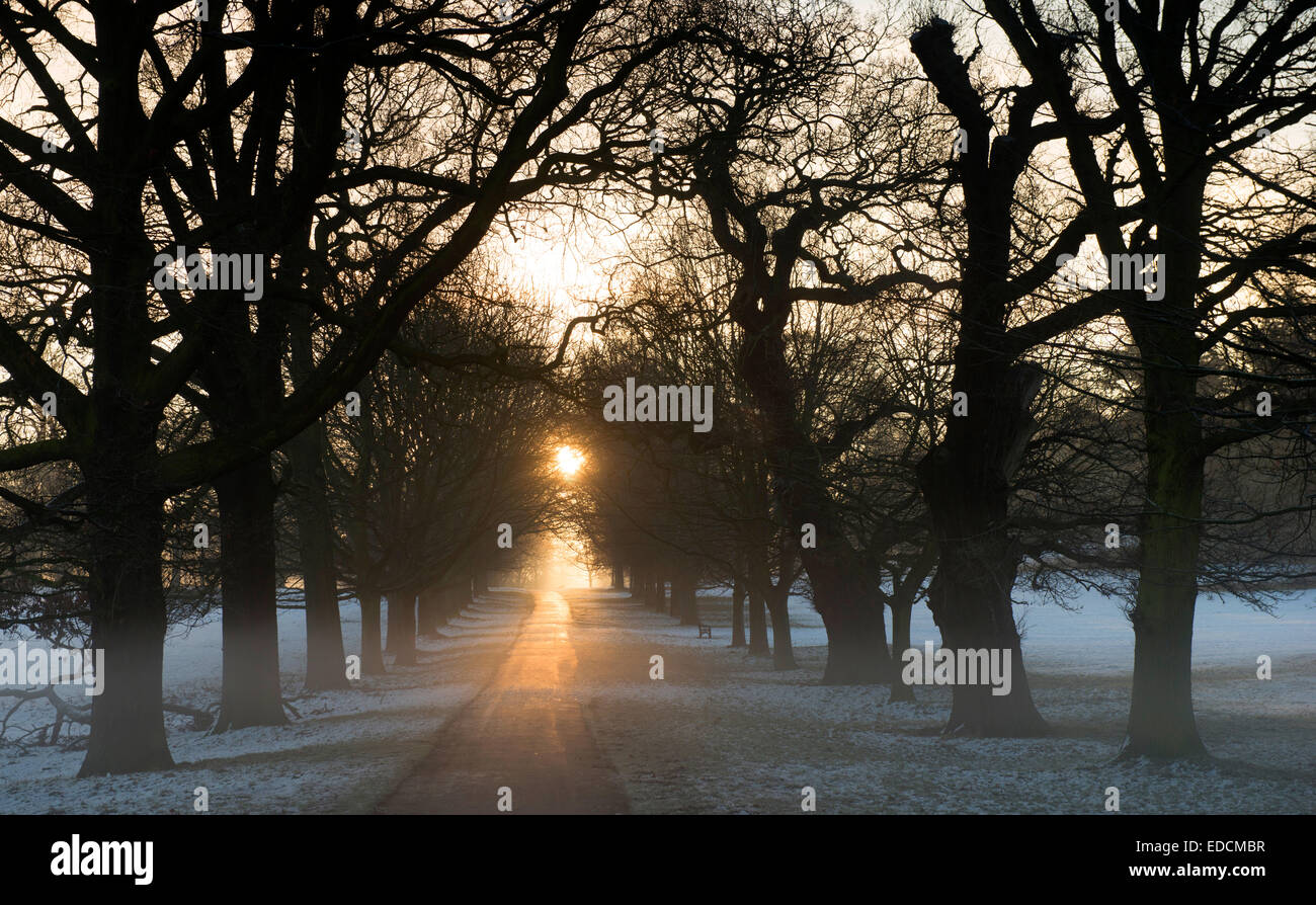 A winter morning in the snow at Wollaton Hall and Deer Park, Nottingham ...