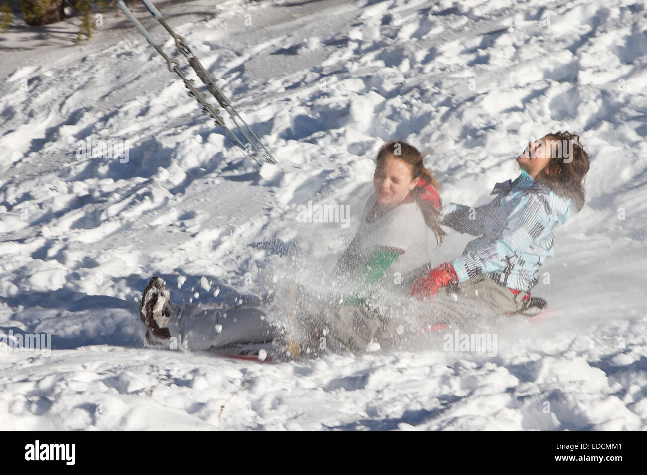 Children sledding down a hill having fun. Lots of action with flying ...