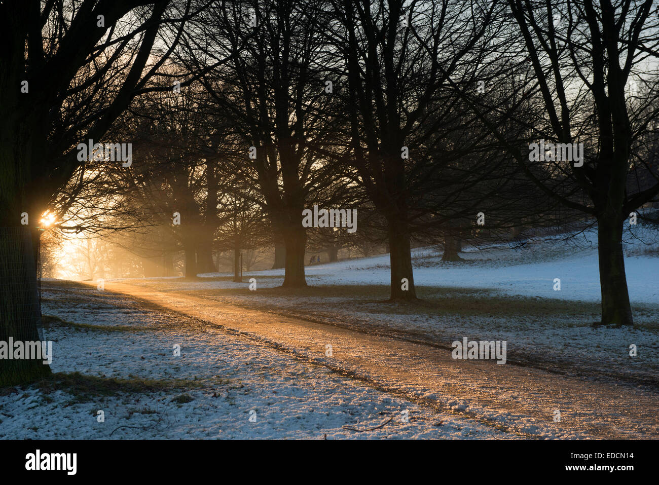 A winter morning in the snow at Wollaton Hall and Deer Park, Nottingham ...
