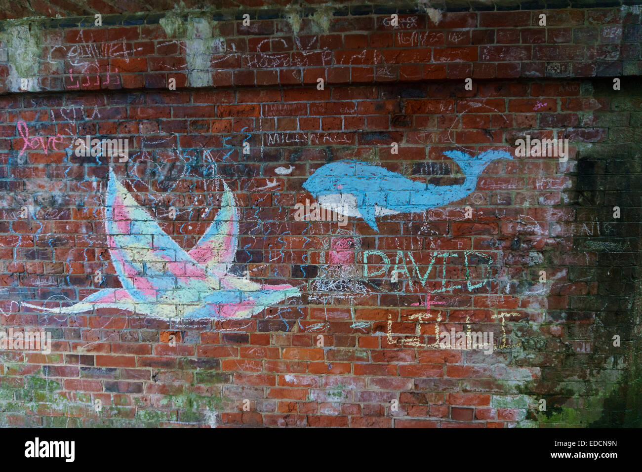 Whale graffiti hi-res stock photography and images - Alamy