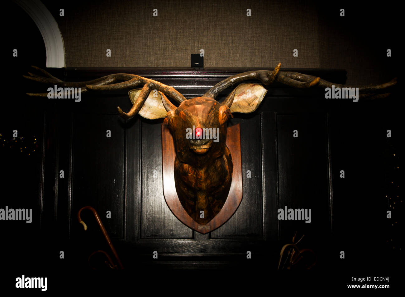 Stuffed stag head mounted on wall with red Rudolph nose Stock Photo - Alamy