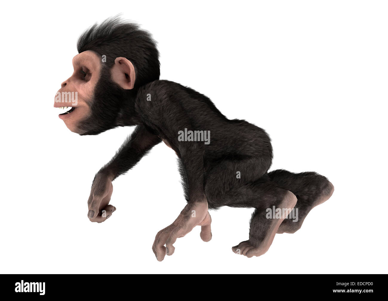 3D digital render of a cute little chimpanzee isolated on white ...