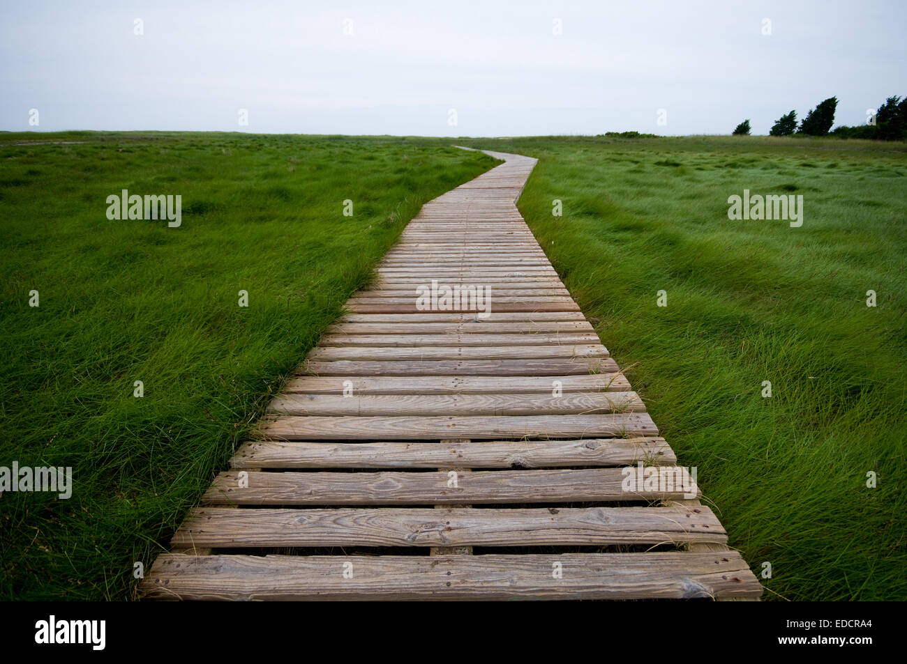 Cape Cod boardwalk Stock Photo - Alamy