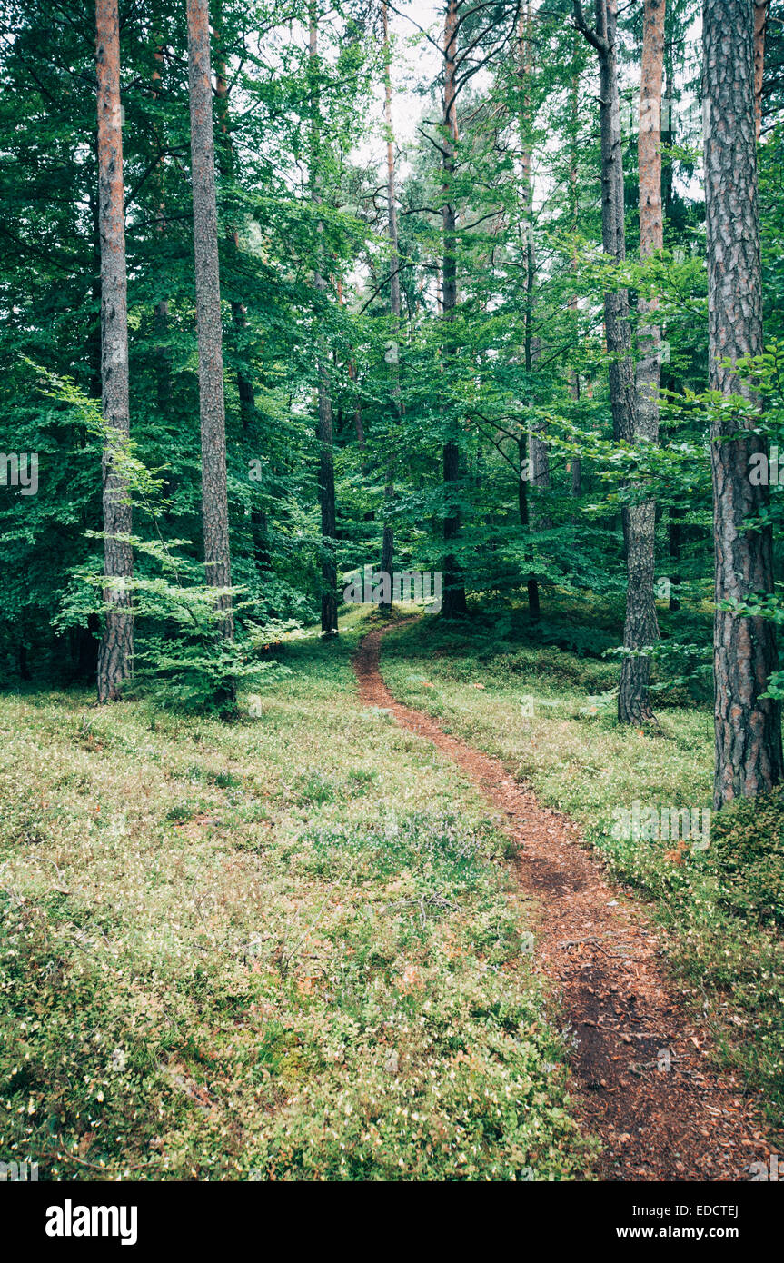 Path in the Austrian Forest (Velden am Worthersee, Carinthia, Austria ...