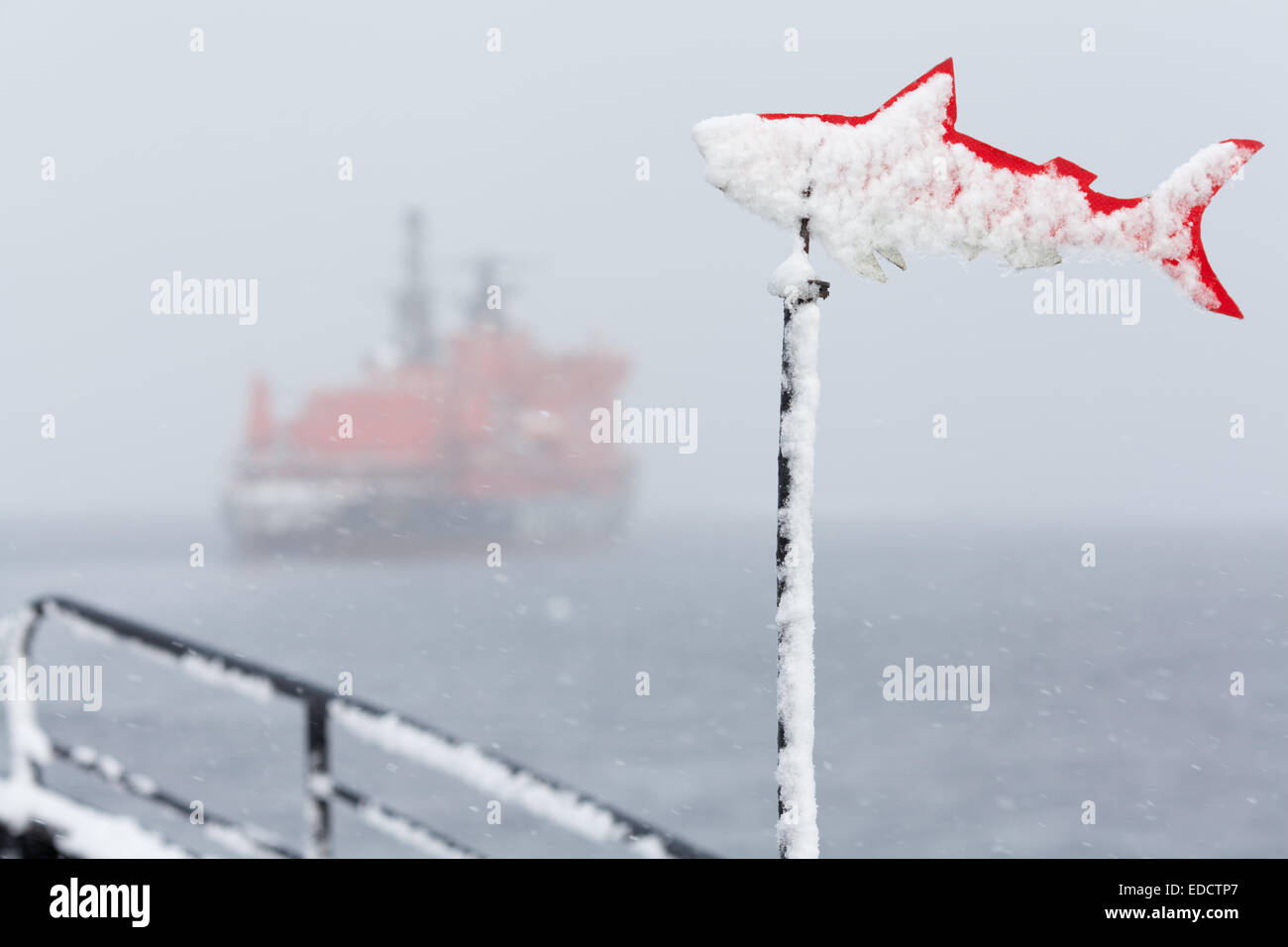 The atomic icebreaker "50 Years of Victory" in Vilkitsky Strait Stock ...