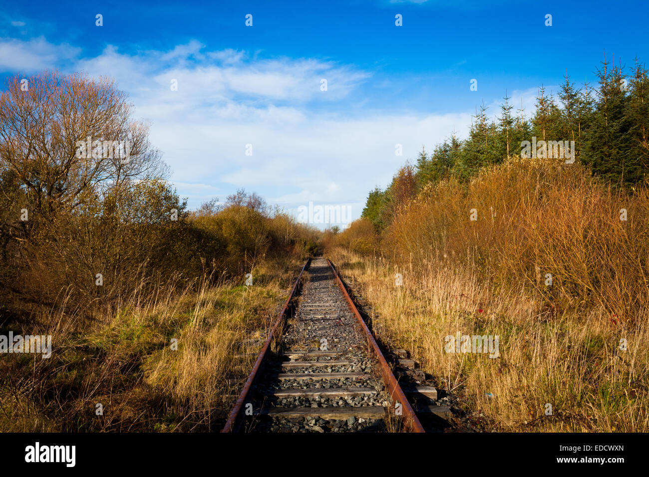 Overgrown railway track hi-res stock photography and images - Alamy