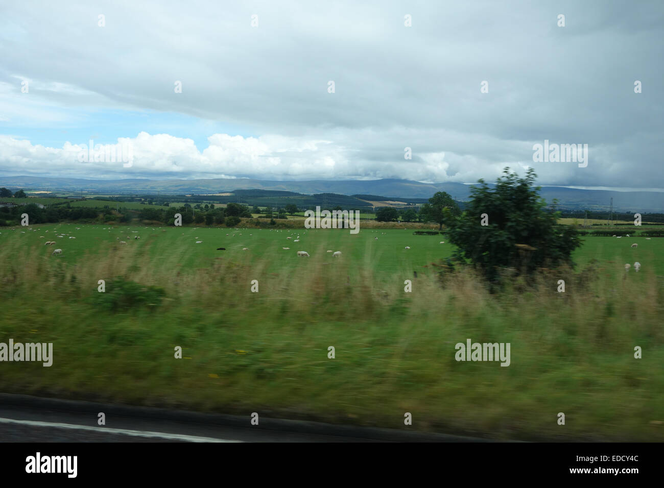 You take the high road and I'll take the low road and I'll be in ...