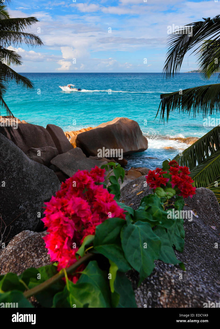 Tropical island beach flowers hi-res stock photography and images - Alamy