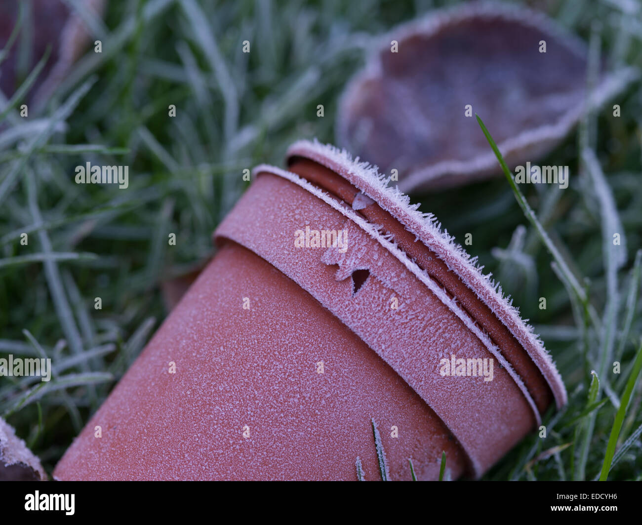 Broken pot garden hi-res stock photography and images - Alamy