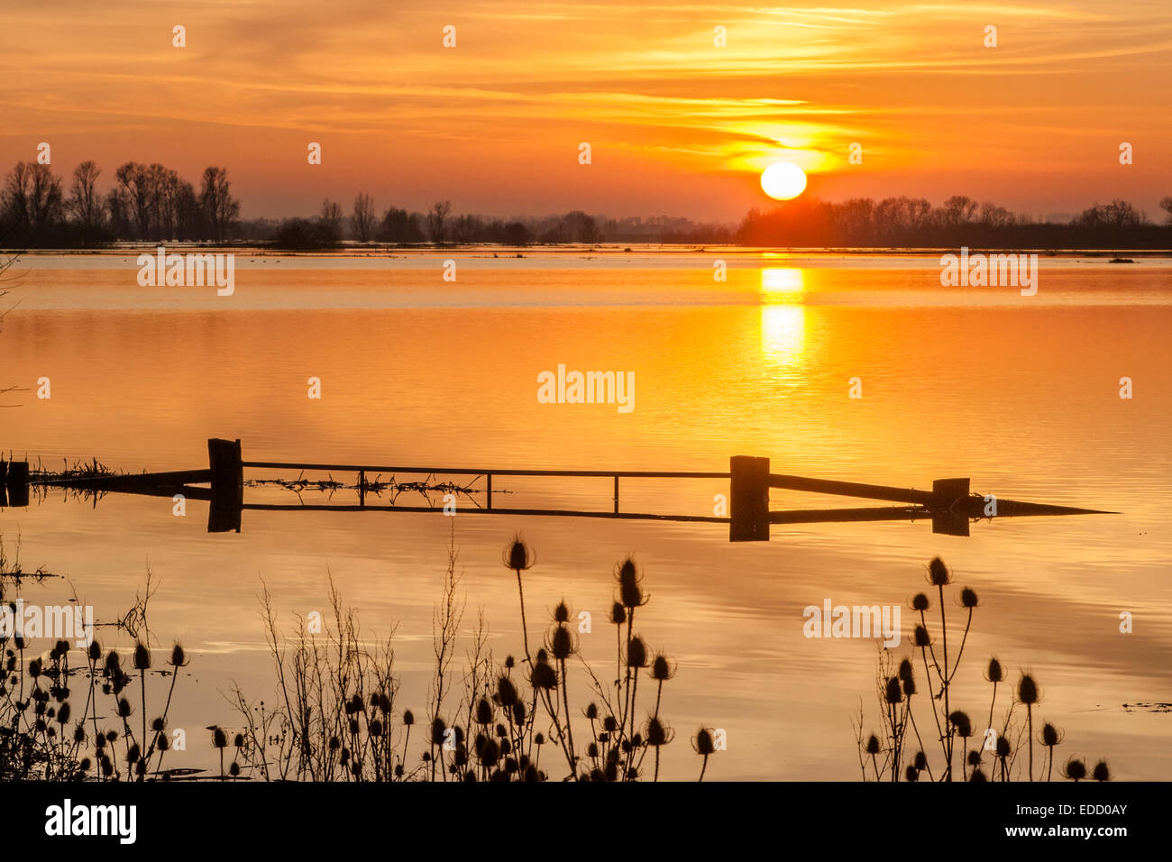 View down the Ouse Washes at Sutton Gault with a flooded gate and a ...