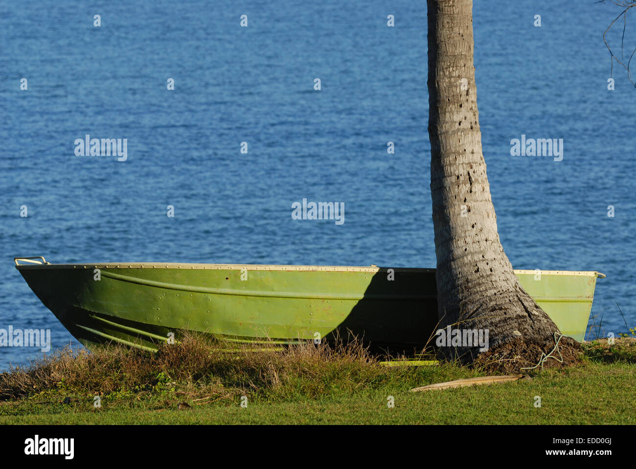 Nelly beach tree hi-res stock photography and images - Alamy