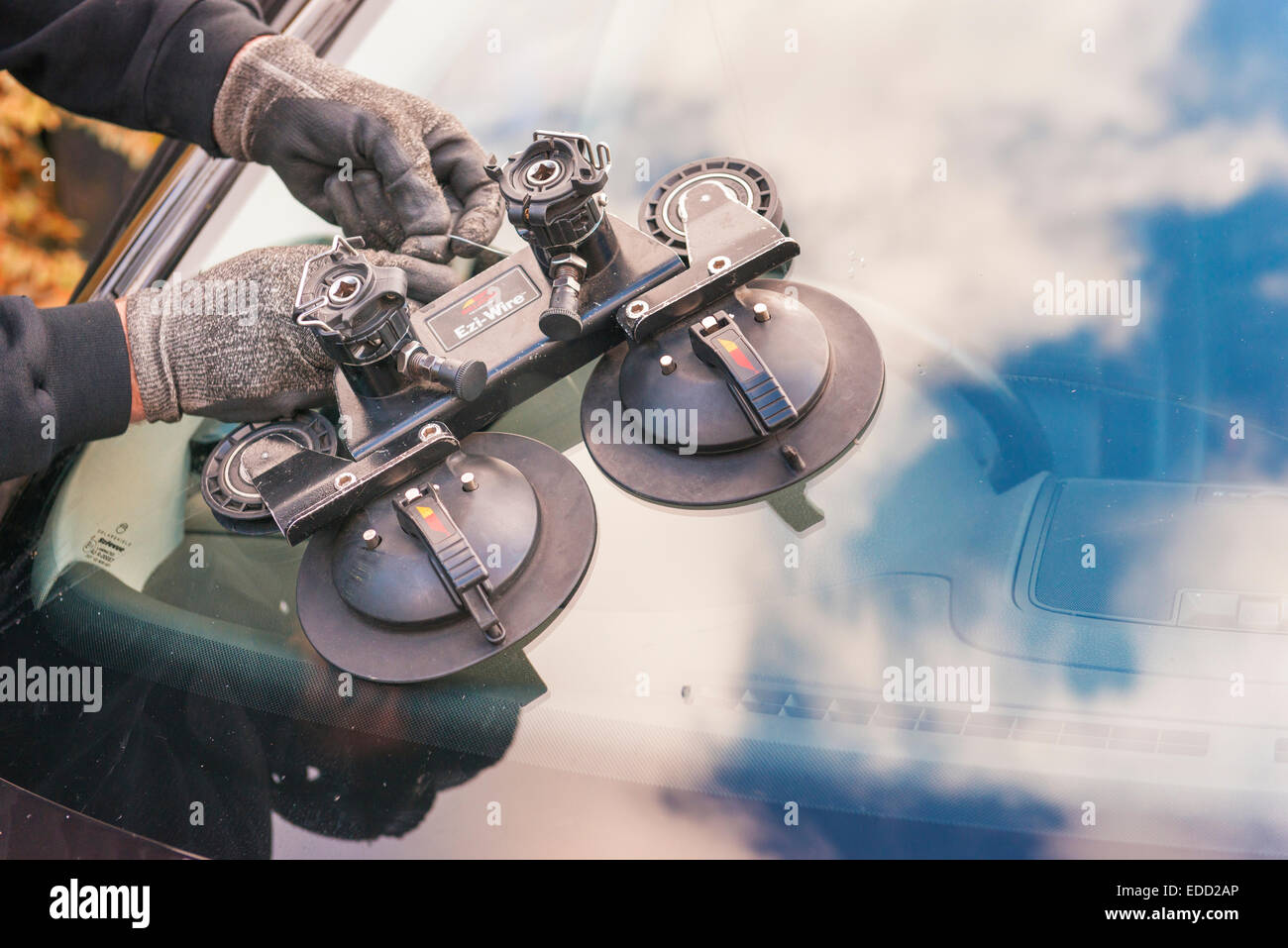 A technician for Autoglass fitting a new windscreen Stock Photo - Alamy