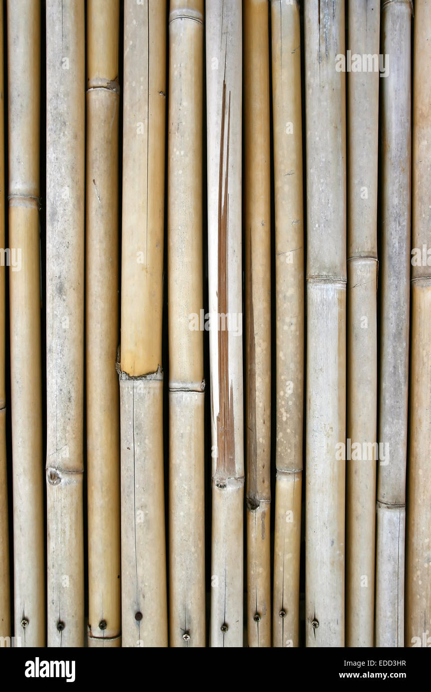 Pattern of Bammboo wood wall Stock Photo - Alamy