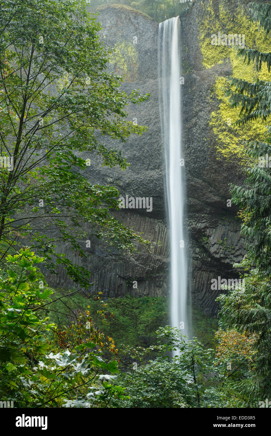 Latourell Falls at the Columbia River Gorge near Portland, Oregon Stock ...