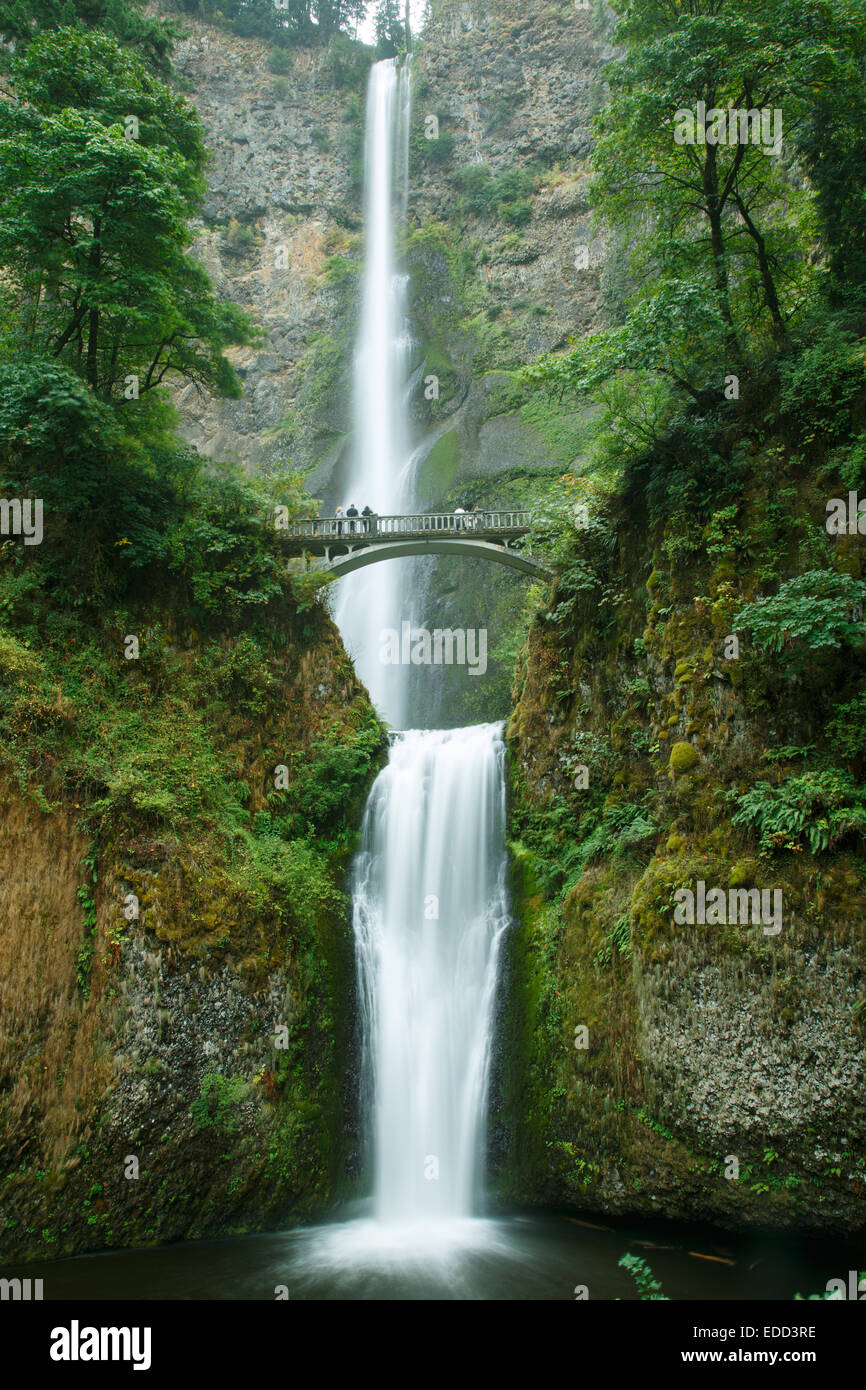 Multnomah Falls at the Columbia River Gorge near Portland, Oregon Stock ...