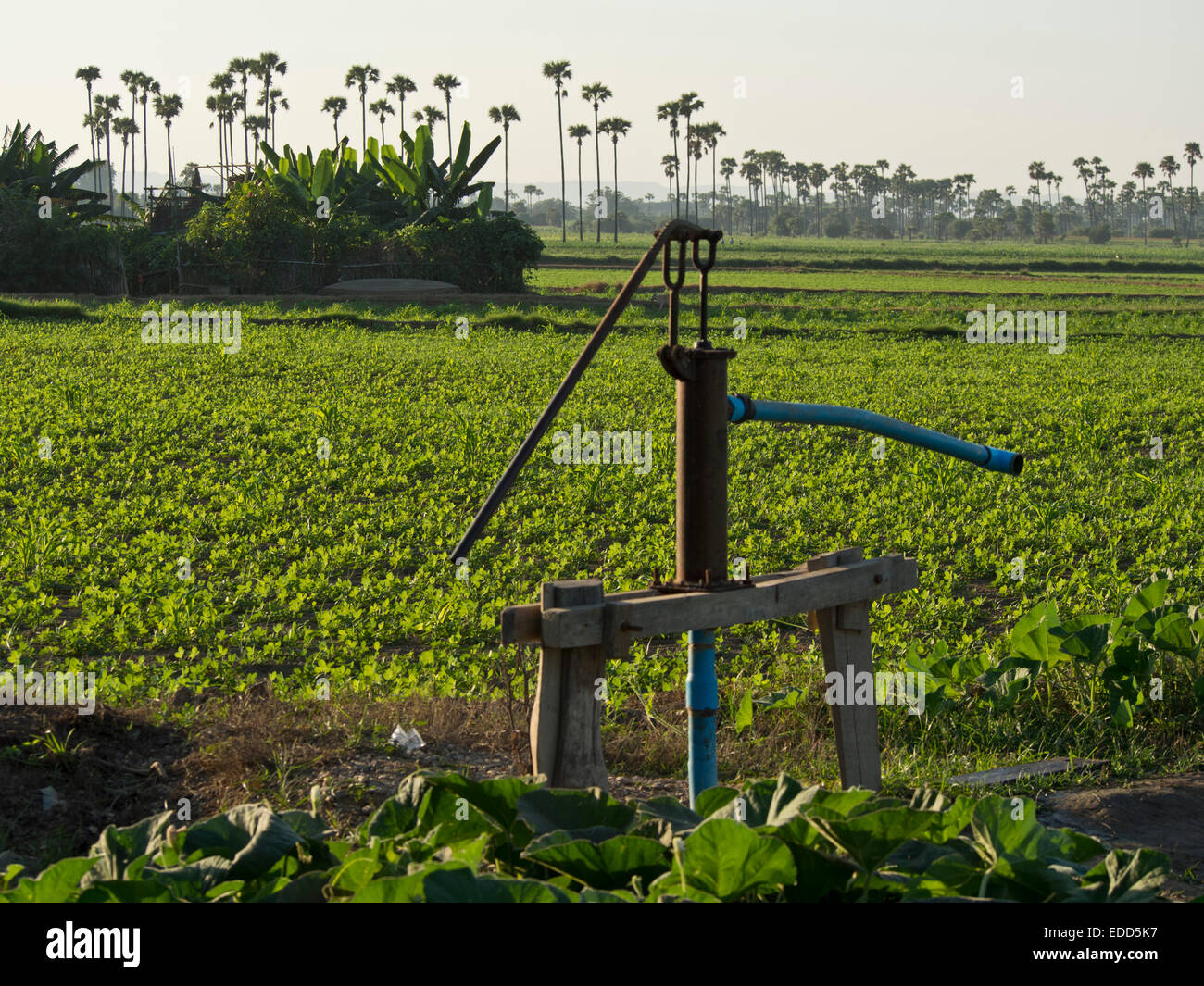 Water pump in a field hi-res stock photography and images - Alamy