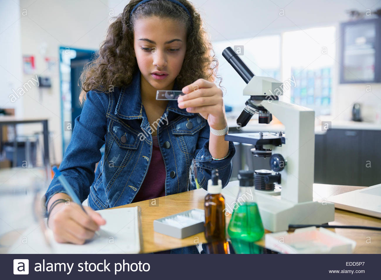 Elementary student examining microscope slide in laboratory Stock Photo ...