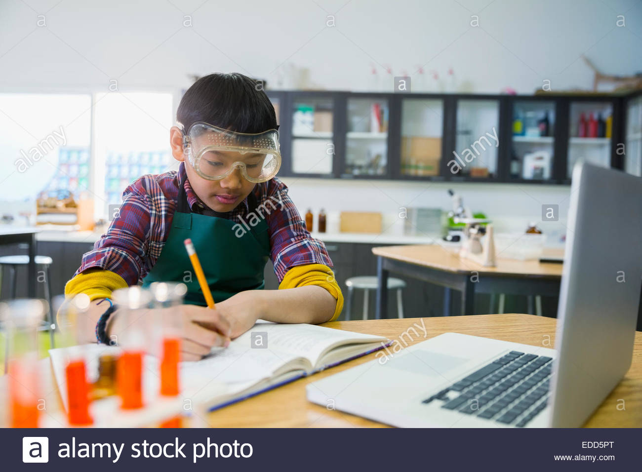 Elementary student studying in laboratory Stock Photo - Alamy