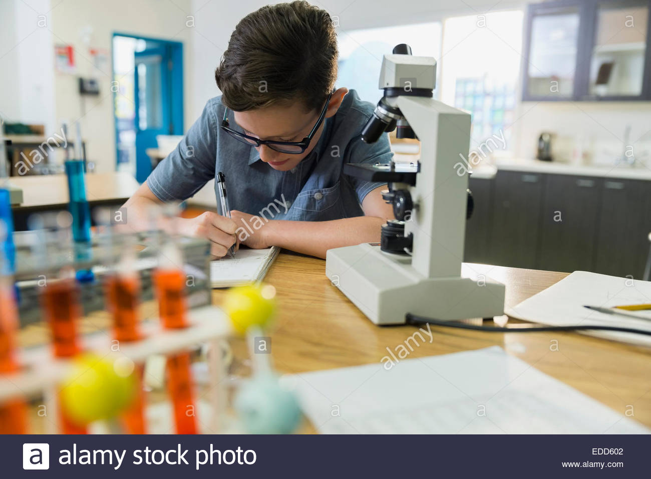 Elementary school biology class hi-res stock photography and images - Alamy