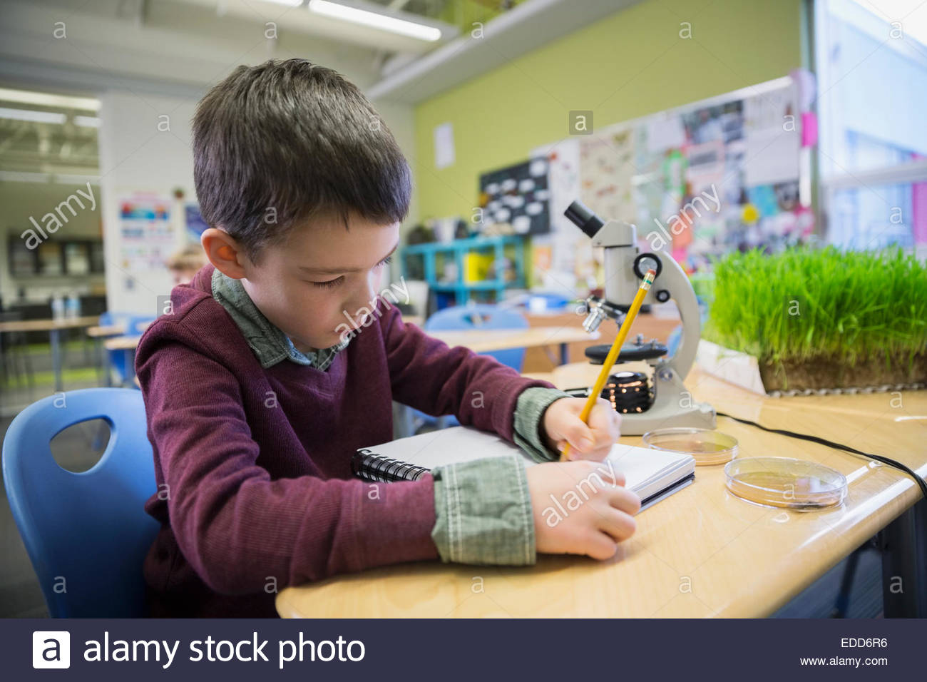 School microscope on desk hi-res stock photography and images - Alamy
