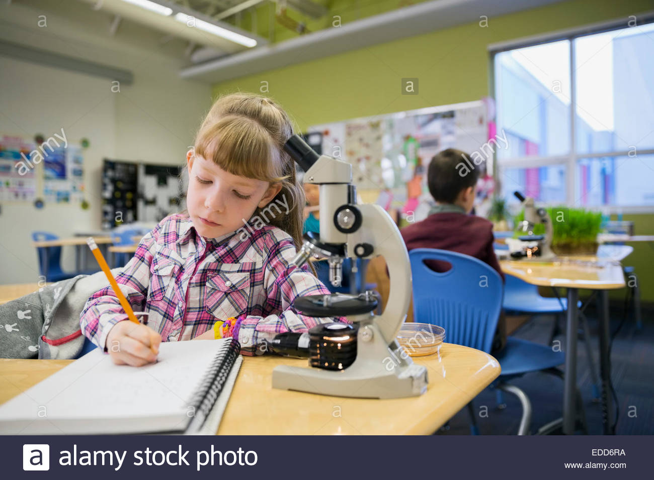 Elementary student science lab hi-res stock photography and images - Alamy