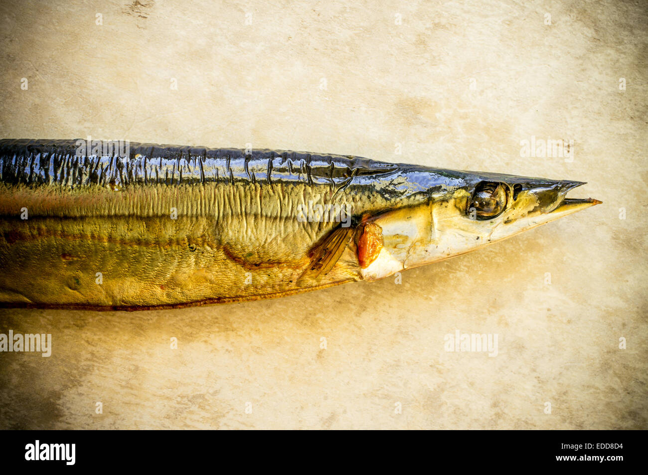 Bloater smoked fish saury top view Stock Photo - Alamy