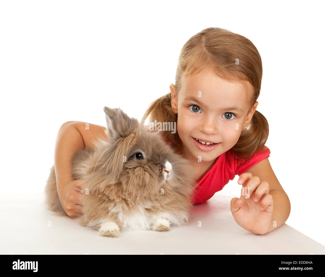 Child with a rabbit Stock Photo - Alamy